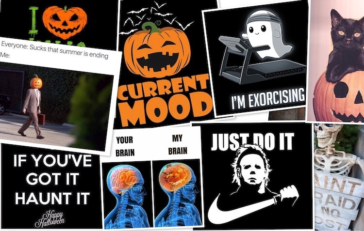 Halloween Memes Money Review: Score Big Paydays w/ It?